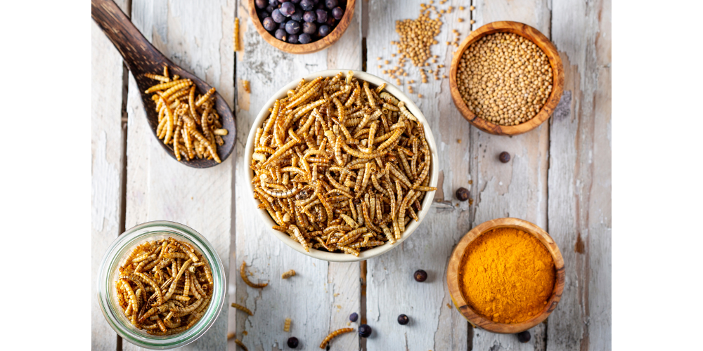 The Buzz Around Insect Protein: Sustainable Nutrition Takes Center Stage
