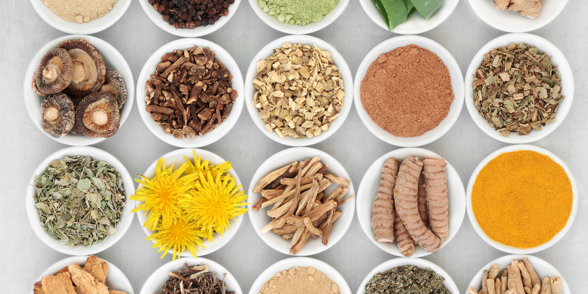 The ABCs of Adaptogens: Consumer Insights and Trends to Watch