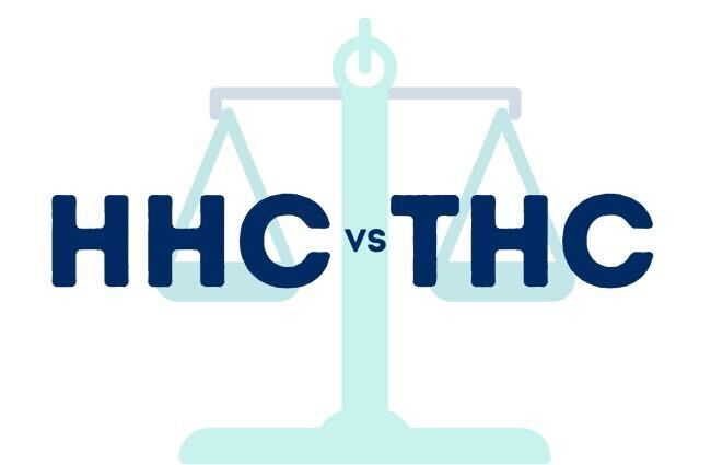 HHC vs THC: Consumer Usage, Trends & Market Challenges